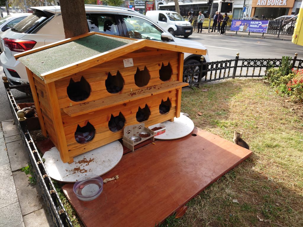 ICANN81の会場「イスタンブールコングレスセンター」の近くの幹線道路沿いにあった猫ちゃんハウス - 中澤祐樹ブログ