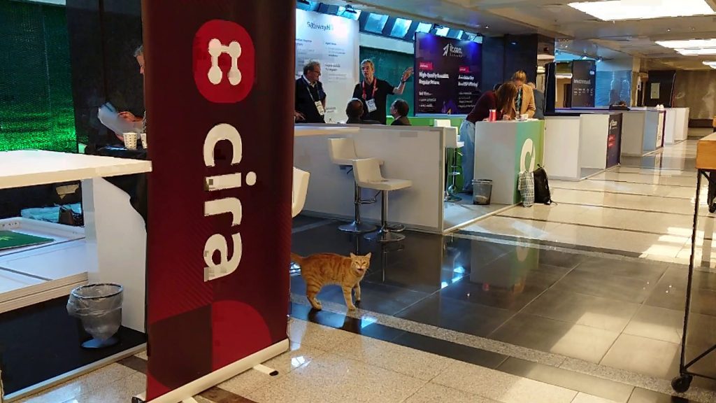 ICANN81イスタンブールの会場ICC（イスタンブールコングレスセンター）内の地下2階に侵入する茶トラ猫 - 中澤祐樹ブログ
